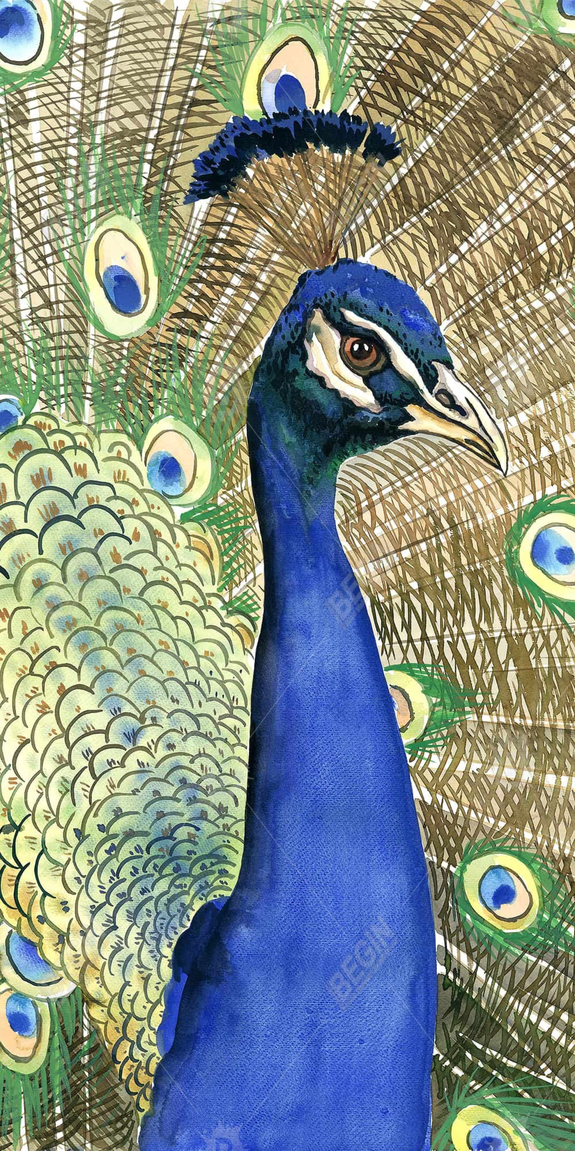 Begin Edition International Inc. Peacock - 15.75"x31.50" Desk mat | Wayfair